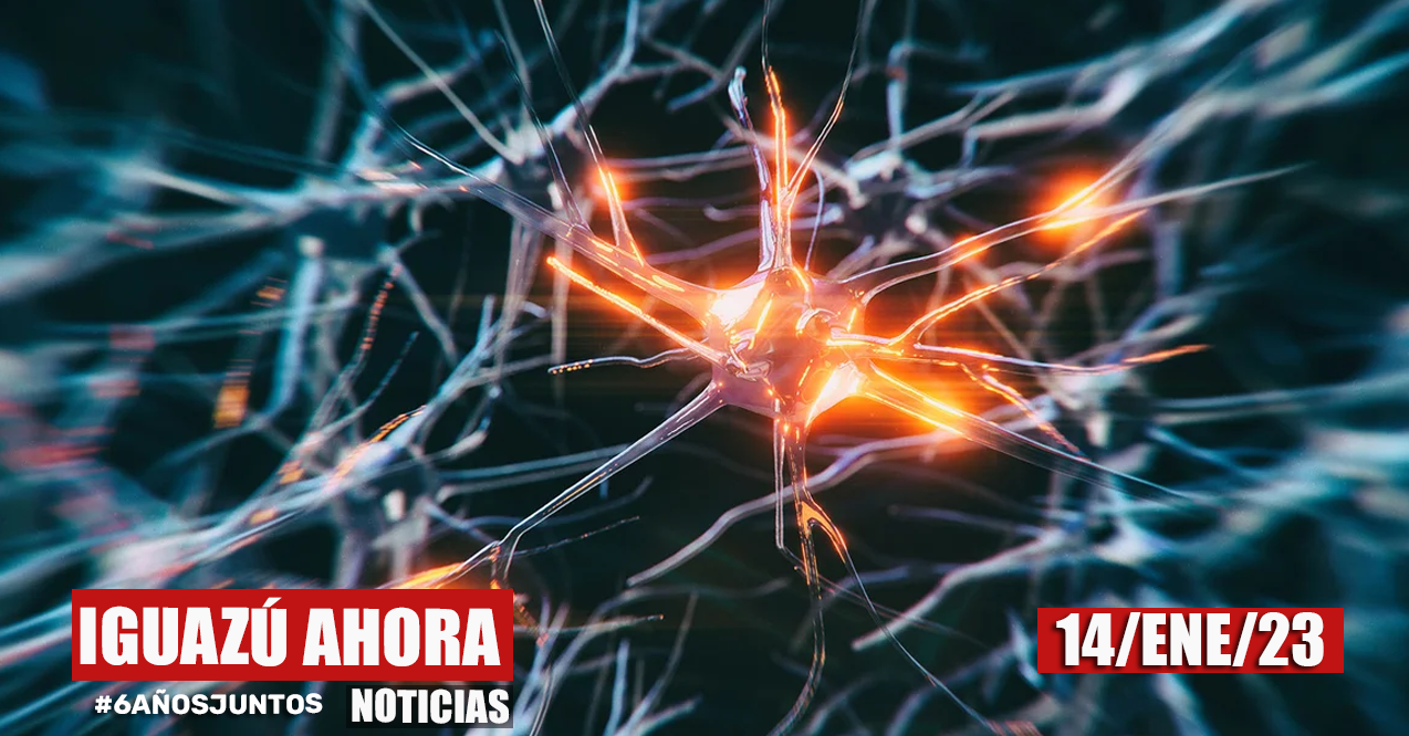 LOGRARON CREAR NEURONAS ARTIFICIALES QUE IMITAN LAS CARACTERISTICAS ...